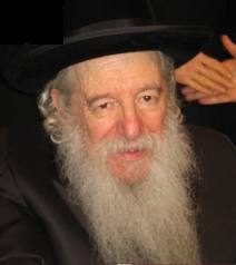 Shiurim By Rabbi Yaakov Perlow (Novominsker Rebbe)